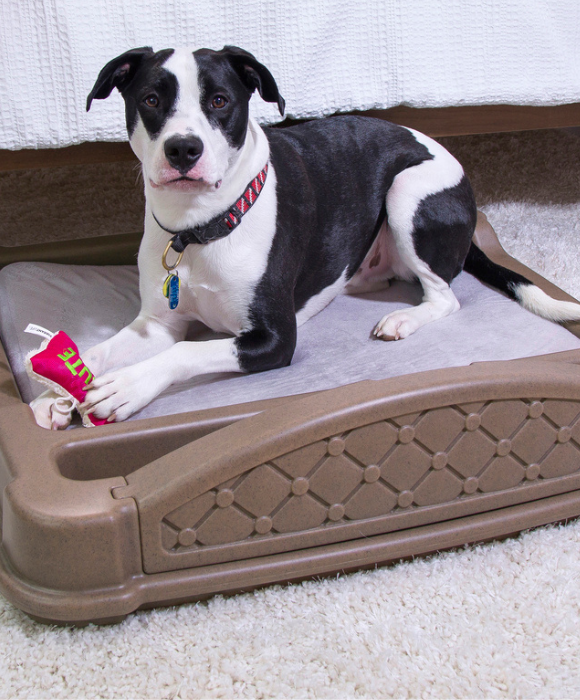 Kids Toys, Playhouses, Wagons & Outdoor Products | Step2